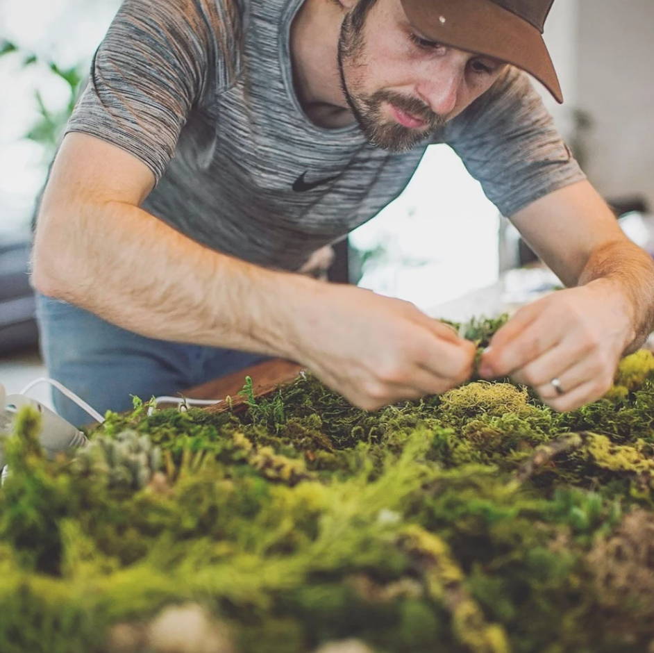 Sap & Seedling Market